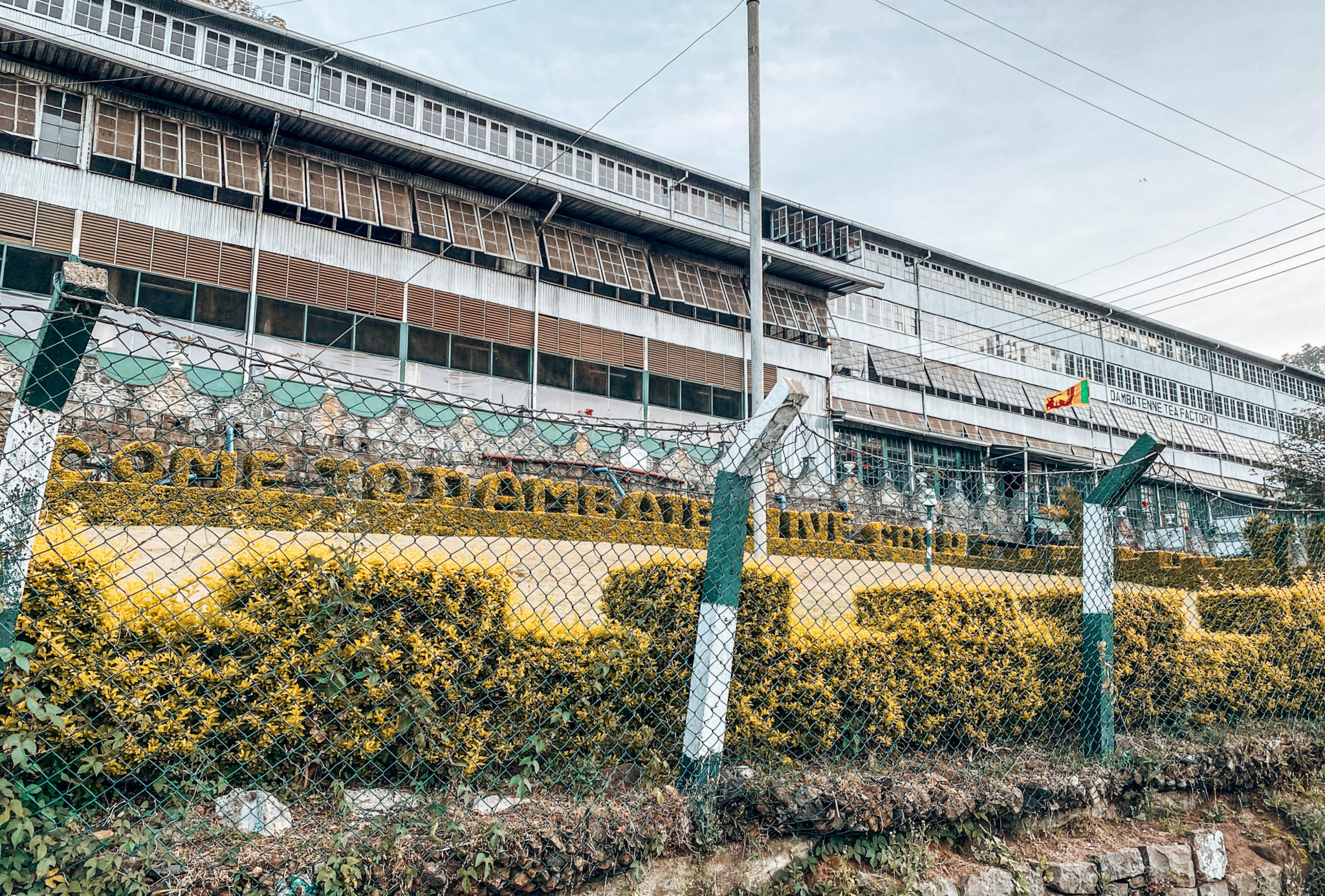 Sips Of Ceylon: Top 8 Sri Lankan Drinks You Should Try