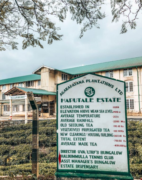 Sips Of Ceylon: Top 8 Sri Lankan Drinks You Should Try