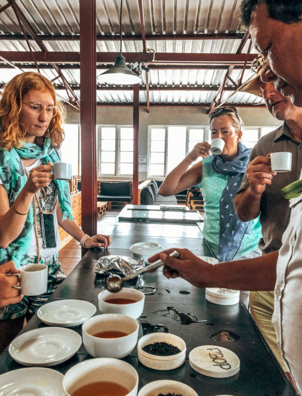 Sips Of Ceylon: Top 8 Sri Lankan Drinks You Should Try