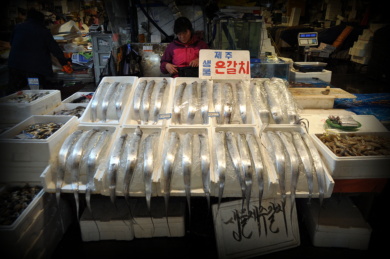 Food travel is the new travel: 8 quick tips on how to be a culinary ...