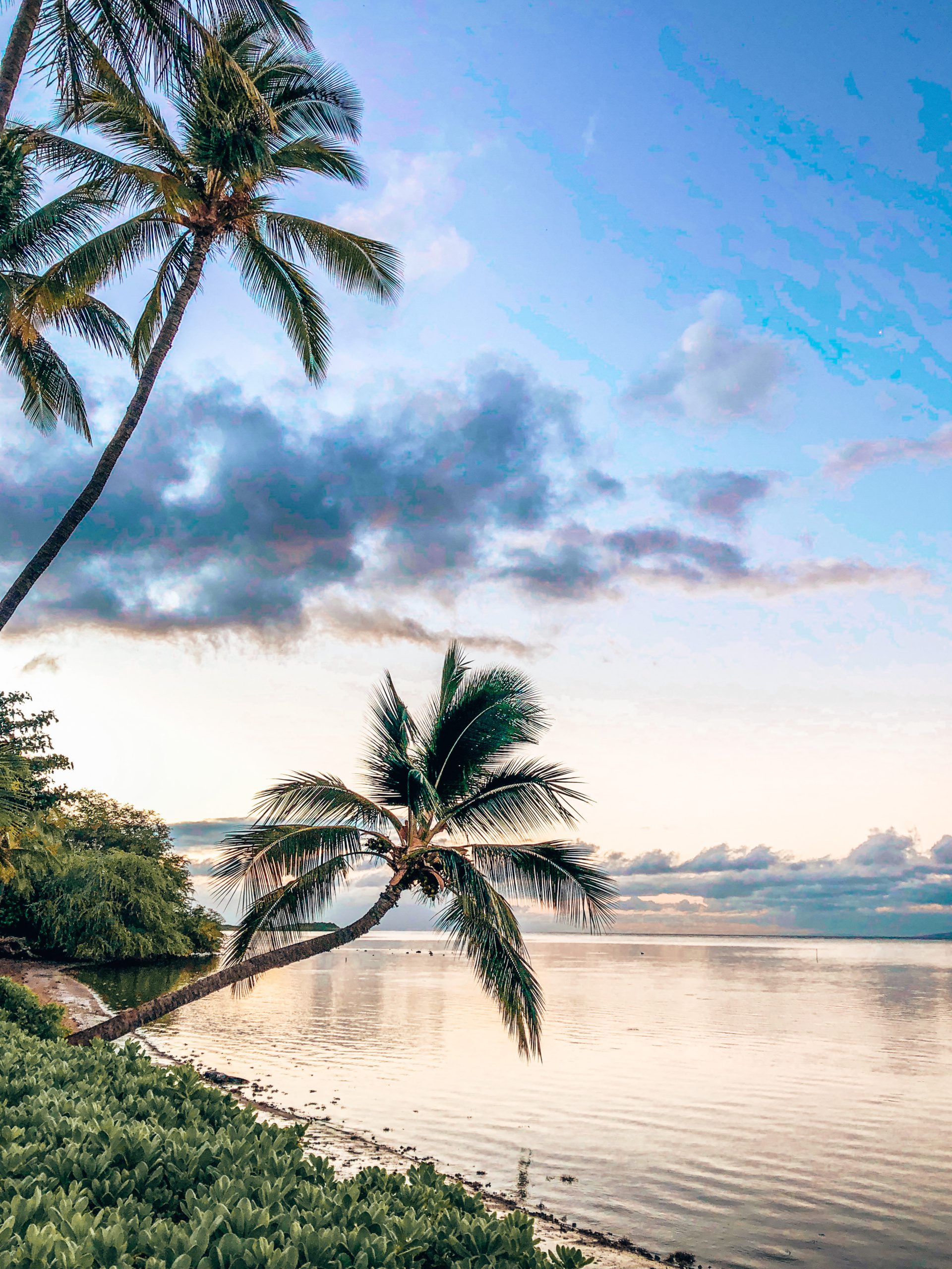 Meatless Hawaii: 6 Places To Find The Best Local Food On Molokai