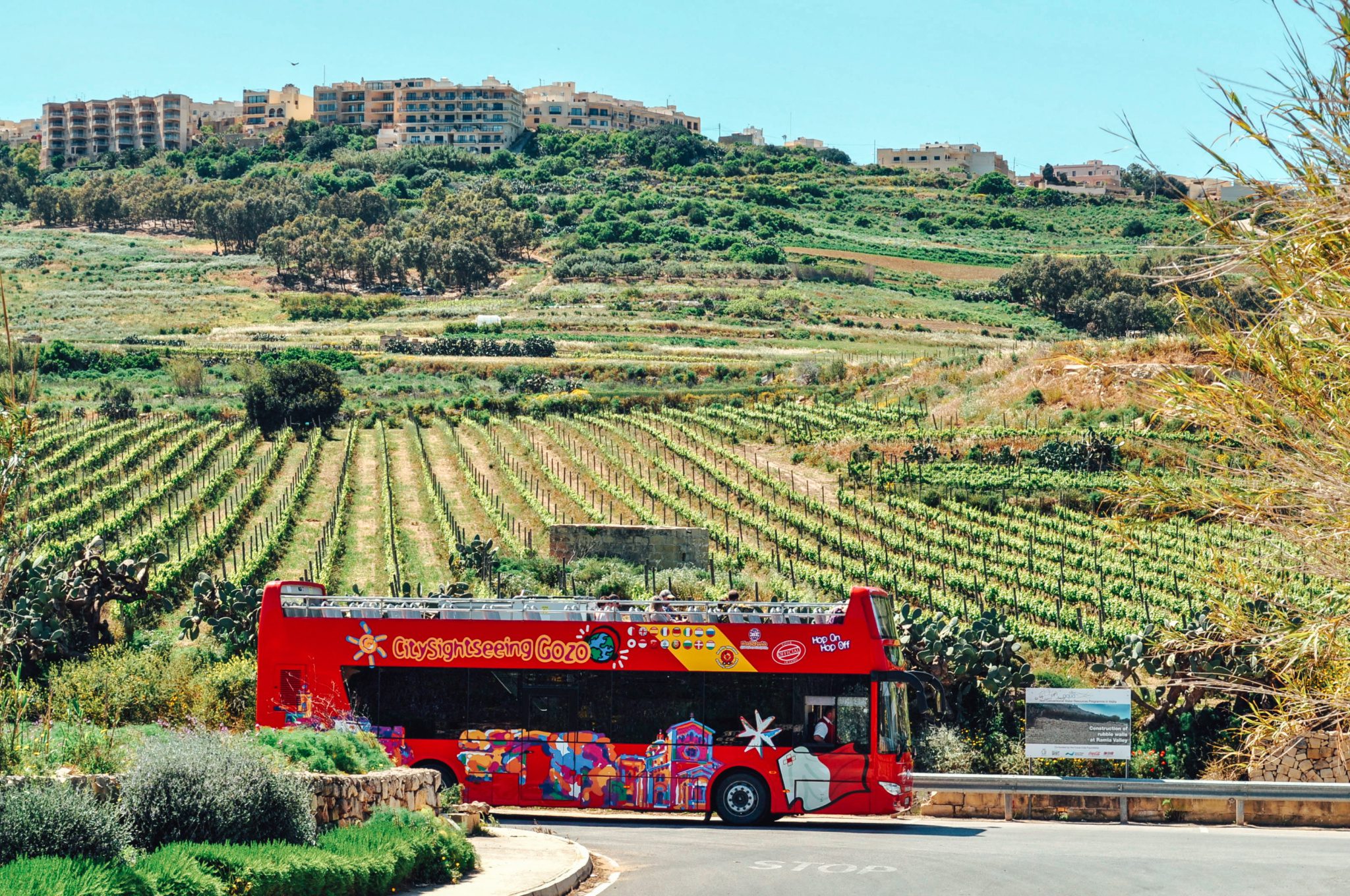 Maltese Cuisine: 5 Foods to Eat in Malta