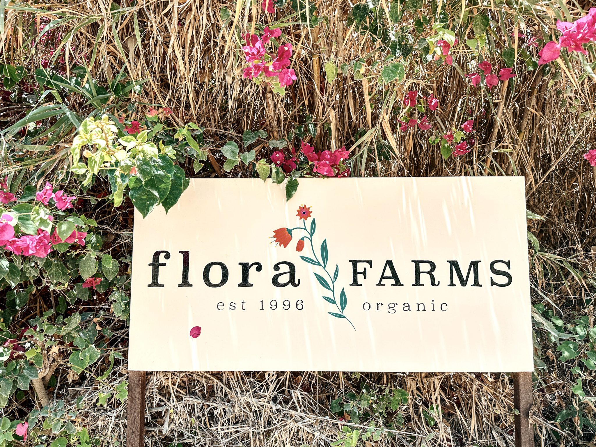 Flora Farms in Cabo, Mexico: Organic Paradise