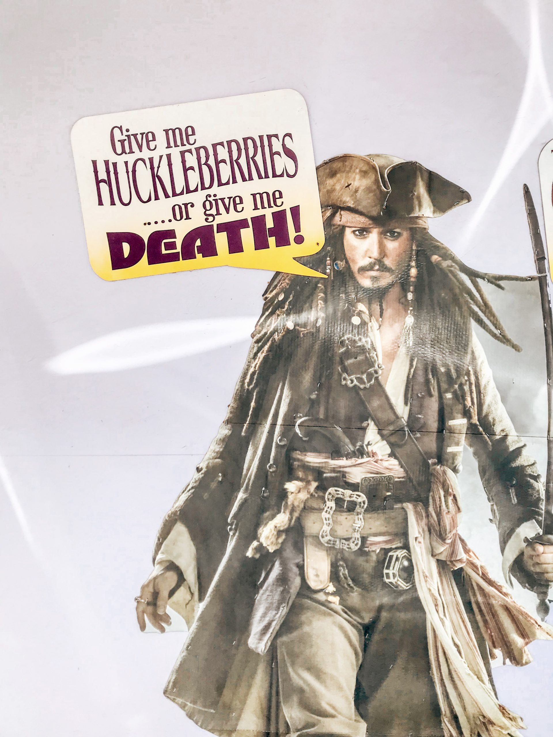 Montana Huckleberry: 10 Fascinating Facts