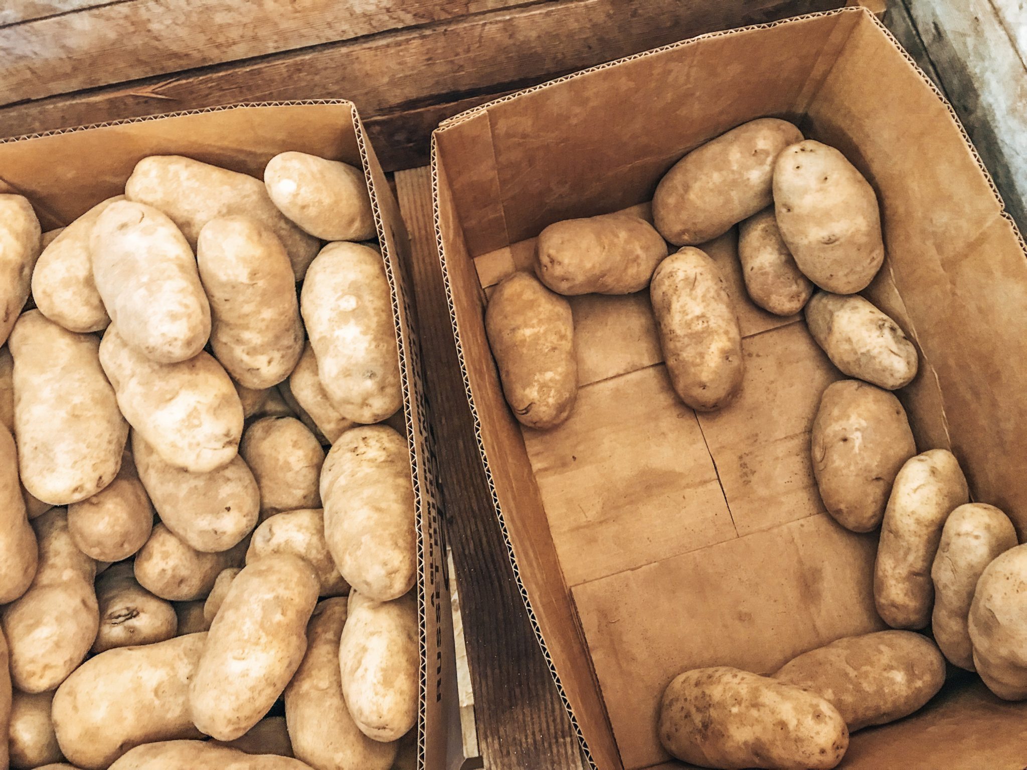 Idaho Potato Museum: What To See (And Eat!)