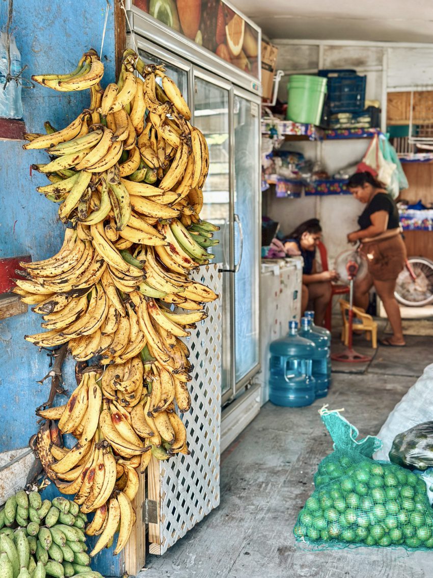 What To Eat In Belize in 2025: The History, Flavors and Sustainability ...