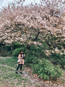 The Origin of the California Roll: Chef Tojo’s Legacy (And Vancouver’s ...