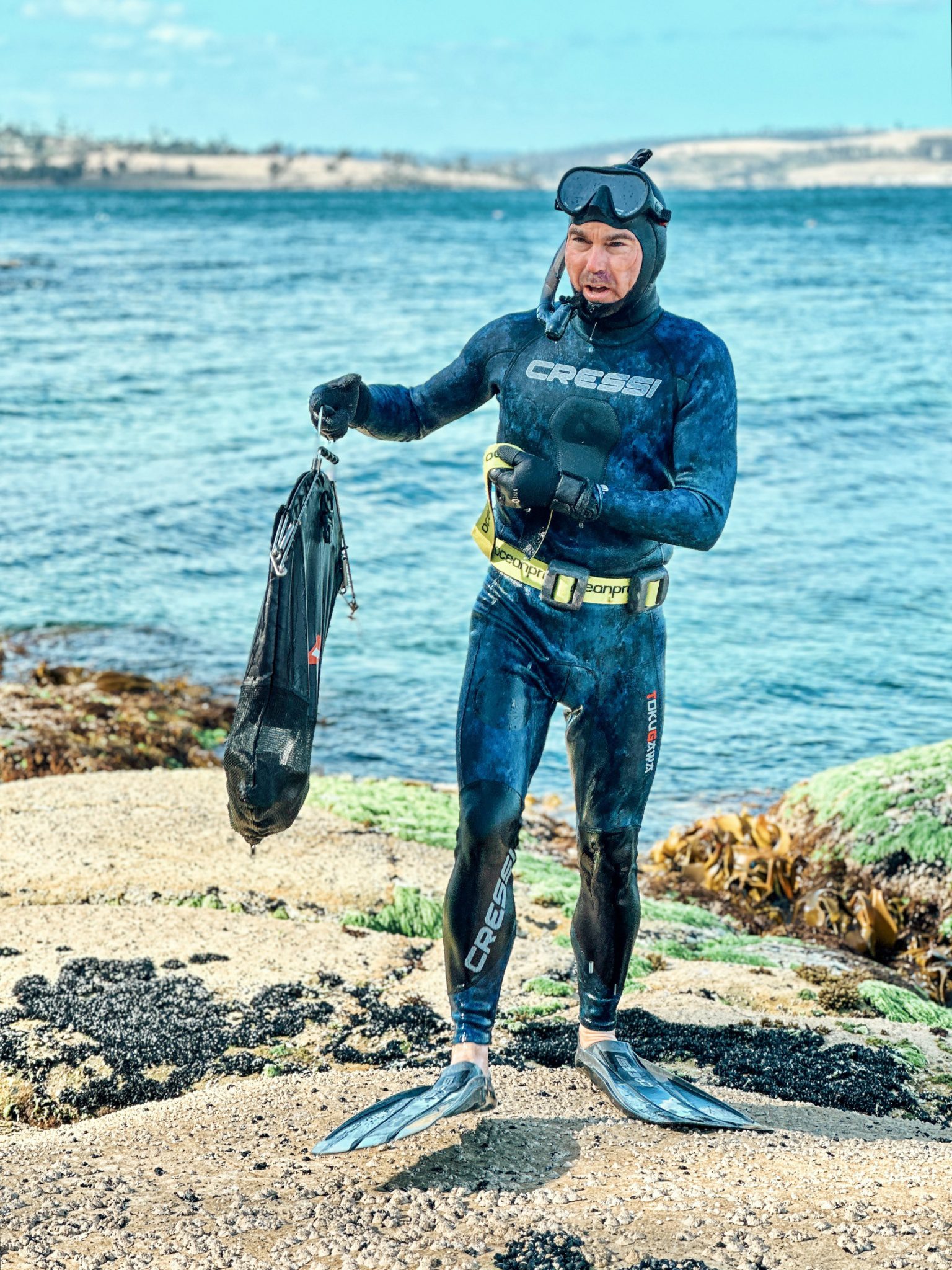 What Is Abalone: The World’s Most Luxurious Mollusk Explained