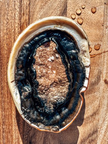 What Is Abalone: The World’s Most Luxurious Mollusk Explained