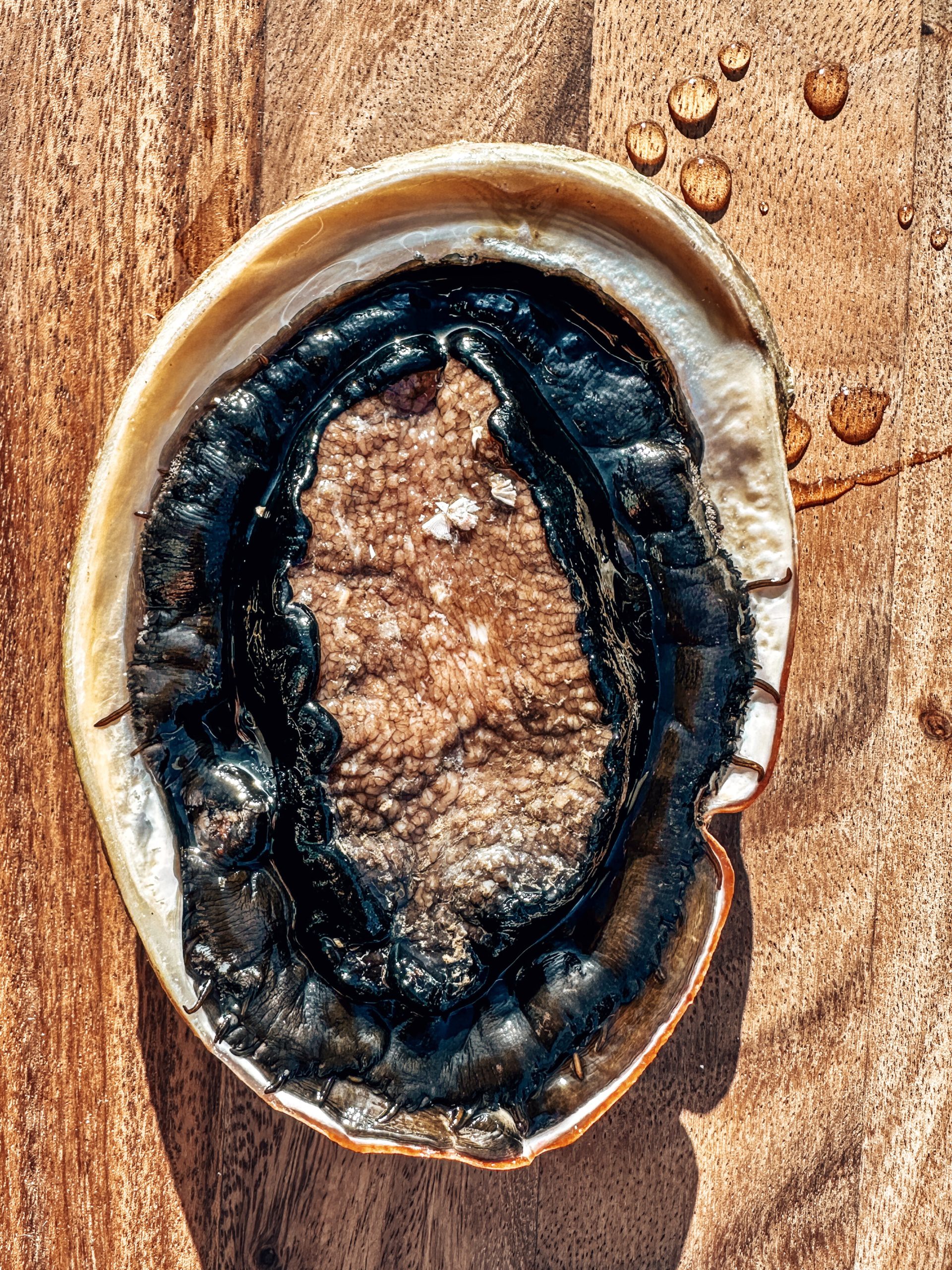What Is Abalone: The World’s Most Luxurious Mollusk Explained
